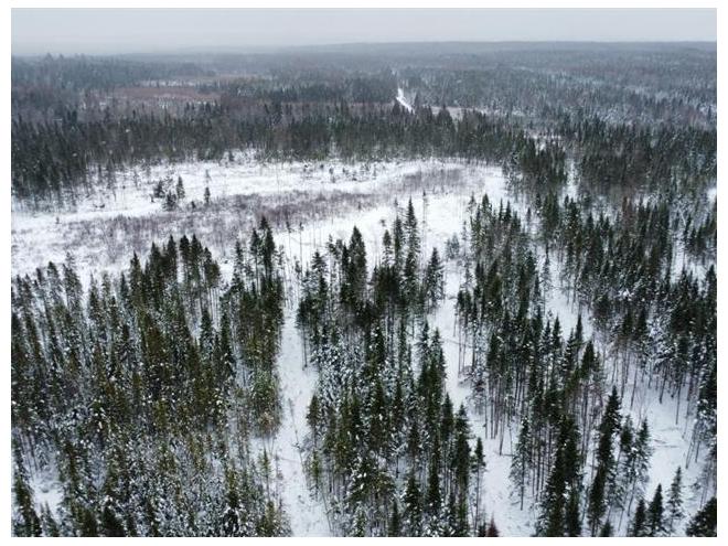Ste-Rose-de-Watford (Chaudière-Appalaches) : Terre de 210 acres avec ...