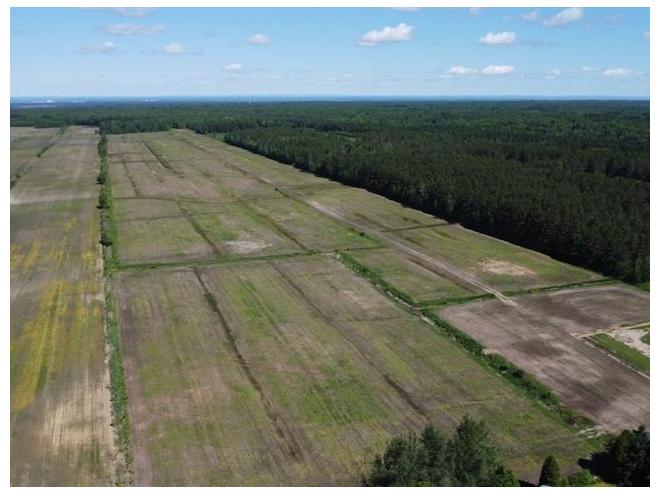 Bécancour (Centre-du-Québec) : Terre agricole de 73 acres, 50 acres en ...