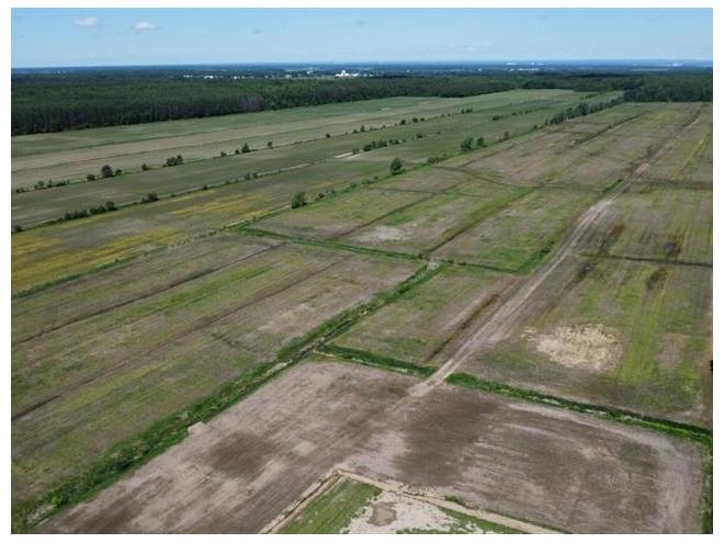 Bécancour (Centre-du-Québec) : Terre agricole de 73 acres, 50 acres en ...