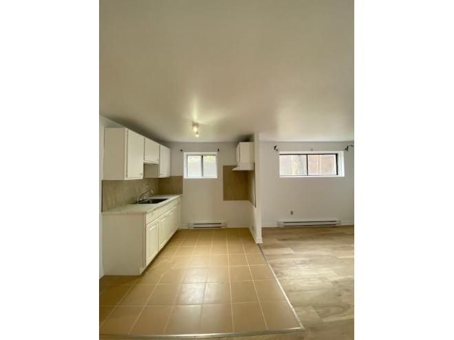 Magnifique appartement 3 1/2 demi-sous-sol complètement rénové, triplex ...