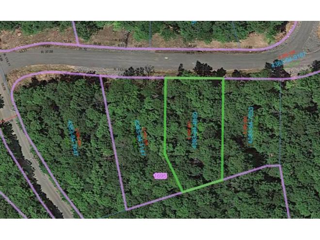 Terrain de 18 000 pi2 à vendre, secteur Blue Hill's à Morin-Heights ...